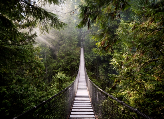 Sightseeing & Activities in Vancouver | Railbookers® Sightseeing & Activities in Vancouver | Railbookers®