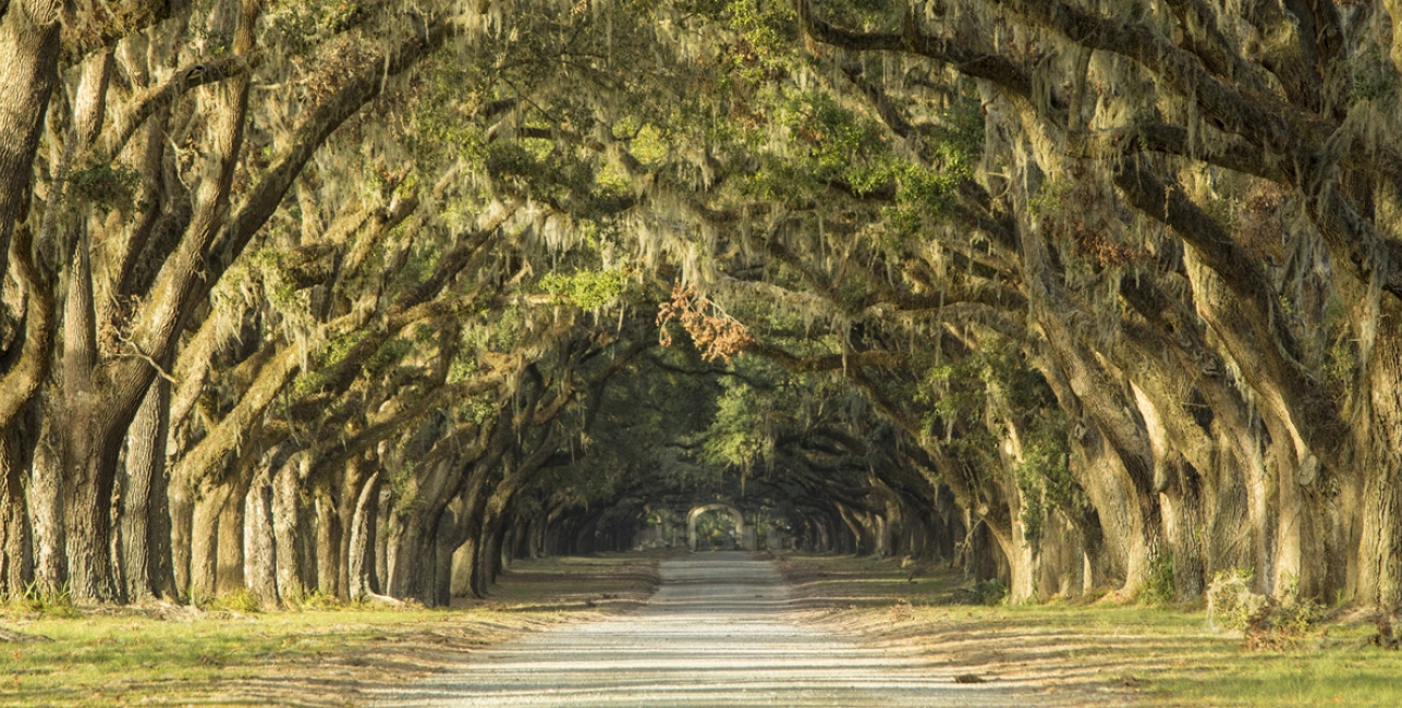 Southern Coastal Explorer | Railbookers®